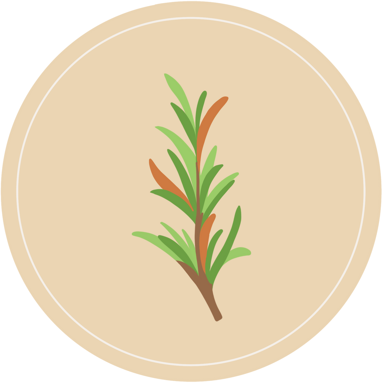 Spice Root | Buy best organic certified products in UK & EU online